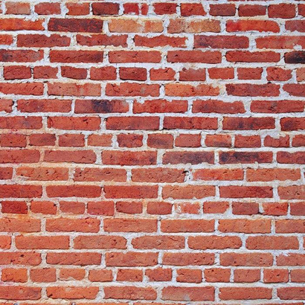 Lastolite Urban Collapsible Background (5 X 7', Red Brick/Grey Stone ...